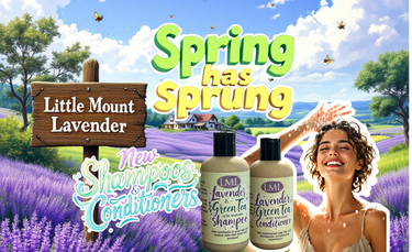 Little Mount Lavender