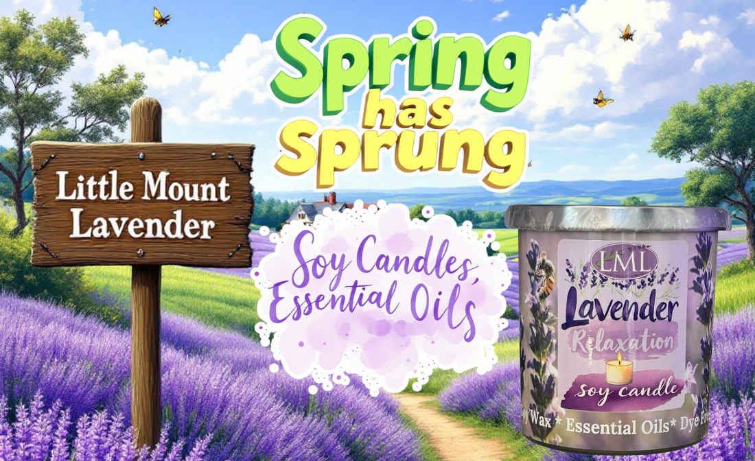 Little Mount Lavender