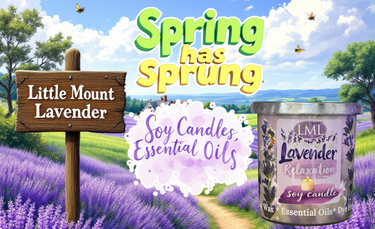 Little Mount Lavender