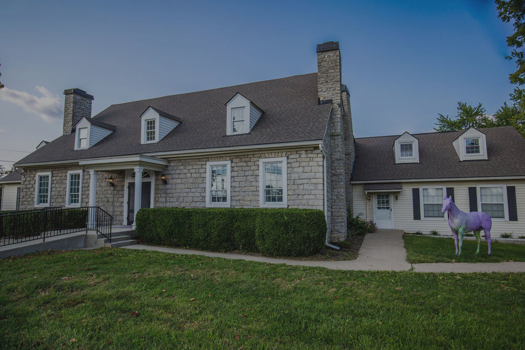 Little Mount Lavender